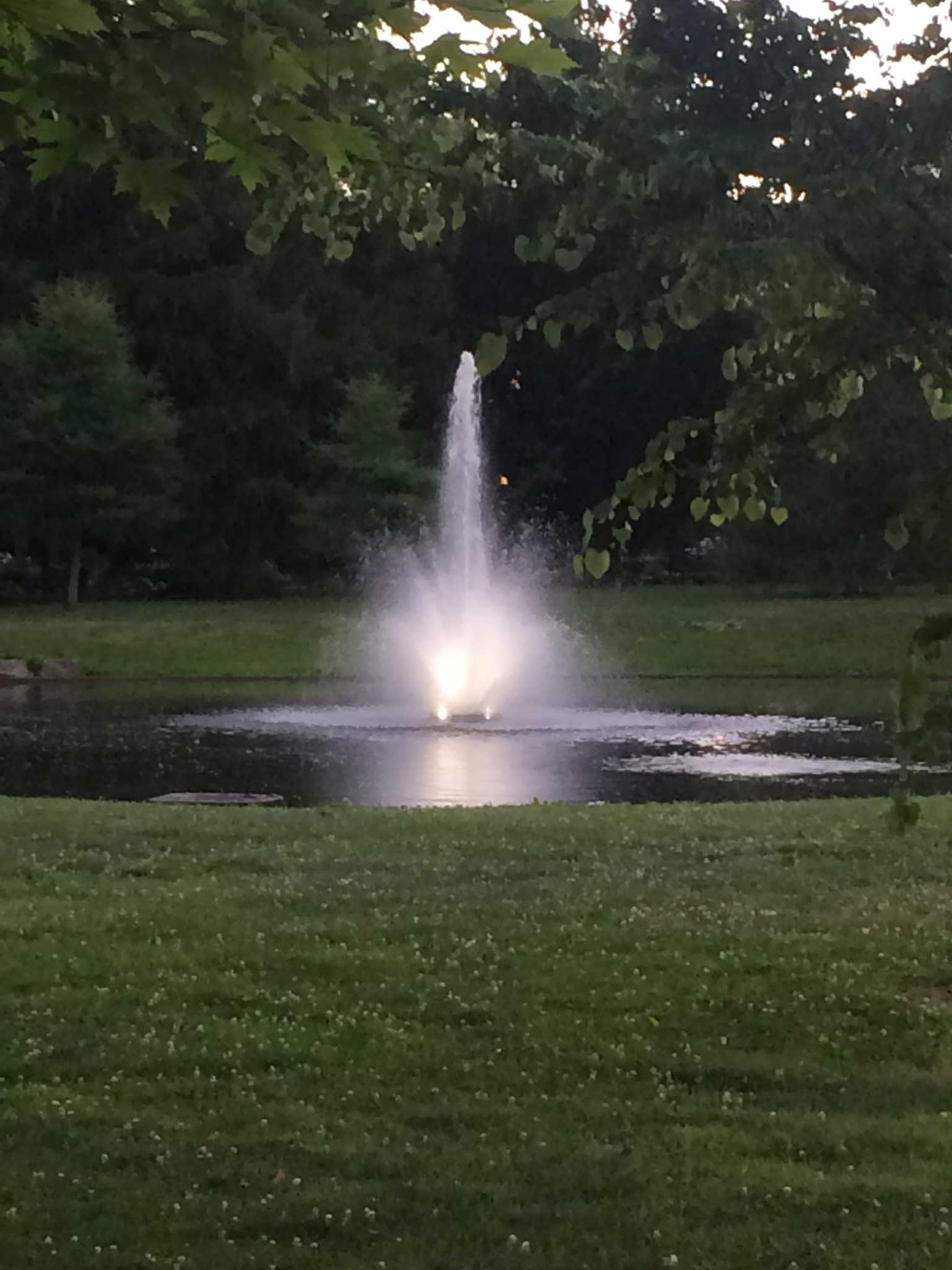 » Schiller Pond fountain with lights